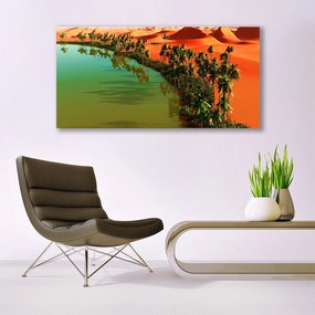 akrylový obraz Jezero Poušť Palmy 120x60 cm