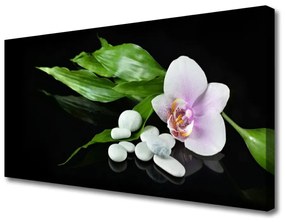 Obraz na plátně Květ Kameny Listí 140x70 cm