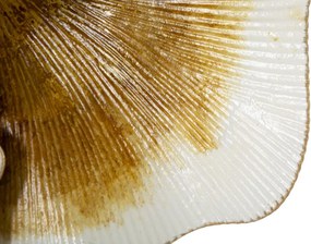 Nástěnná kovová dekorace Clow 92,1 cm hnědo-zlatá