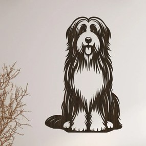 dřevo života Dřevěný obraz Bearded Collie Zvolte rozměr (cm): 46x60, Zvolte barvu dekoru: Wenge