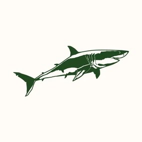 Samolepka / dětská samolepka Bílý velký žralok 5032 - 24 x 70 cm