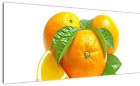 Pomeranče, obraz (100x40cm)