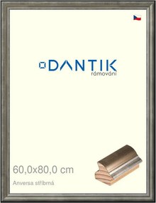 DANTIK rámeček 60x80 | ANIVERSA stříbrná (Plexi Čiré)