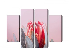 Vícedílný obraz Květina Královského Protéa Zblízka Nedostatek Nedostatek Přírodní plátno 120x90