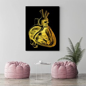 Gario Obraz na plátně Zlatá anatomie, příčný řez srdcem - Gab Fernando Rozměry: 40 x 60 cm