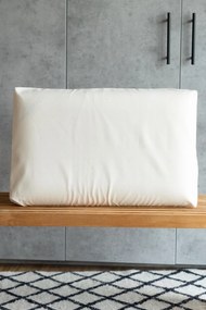 nanoSPACE Protiroztočový povlak na anatomický polštář 42 x 66 cm | Nanobavlna® – režná biobavlna
