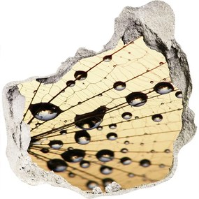 Wallmuralia Samolepící nálepka Semena pampelišky 75x75 cm