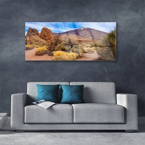 akrylový obraz Hory Rostliny Skály Krajina 125x50 cm