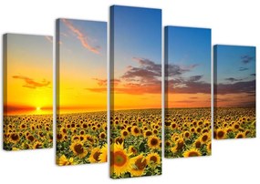 Obraz na plátně pětidílný Západ slunce se slunečnicemi - 200x100 cm