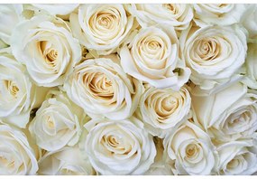 Pětidílná vliesová fototapeta Bílé růže, rozměr 375x250cm, MS-5-0137