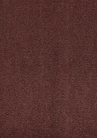 Lano - koberce a trávy Neušpinitelný kusový koberec Nano Smart 302 vínový - 120x170 cm
