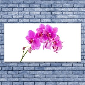 Plexisklo-obraz Vstavač Květ Orchidej 120x60 cm
