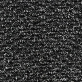 COBA Kobercová polypropylenová vstupní rohož, černá, 200 x 300 cm