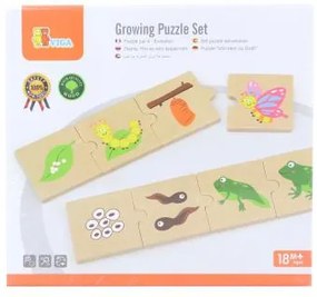Viga Dřevěné puzzle - evoluce