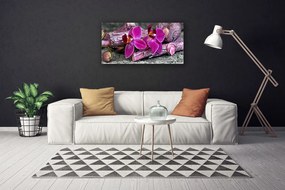 Obraz na plátně Dříví Květiny Rostlina Příroda 100x50 cm
