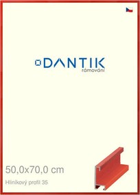 DANTIK rámeček 50x70 | ALU profil 6035 Dýha barevná červená třešeň (Plexi Čiré)