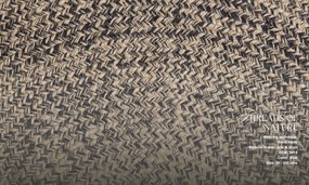 Diamond Carpets India, Ručně vázaná rohožka Eclipse J 53 Natural, 50x80, béžová, chodba / předsíň