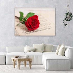 Obraz na plátně Červená růže květ hudby - 100x70 cm