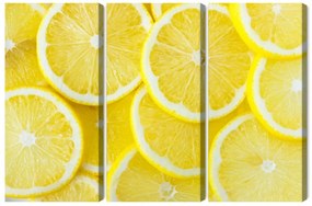 Vícedílný obraz Plátky Citronu Nedostatek Nedostatek Přírodní plátno 180x120