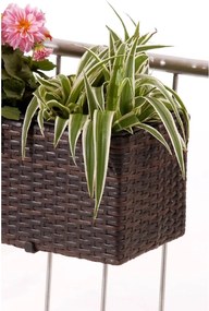 Truhlík BALKONI, polyratan, šířka 80 cm, hnědá