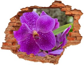 Wallmuralia Samolepící díra nálepka Orchidej 90x70 cm