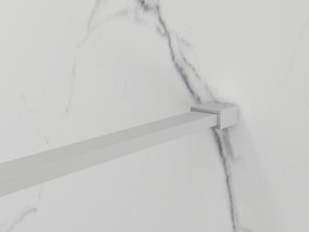 Erga Paris, sprchová zástěna Walk-In 110x200 cm, 8mm šedé sklo, broušená ocel, ERG-V02-PARIS-110x200-GR-BS