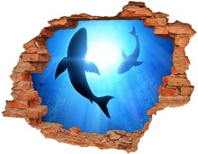 Wallmuralia Díra 3D fototapeta nálepka Dva žraloci 90x70 cm