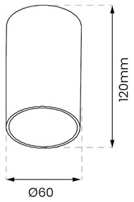 Stropní svítidlo Ricky, 1x zlaté/transparentní plastové stínítko