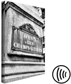 Obraz Avenue Des Champs Elysees (1 panel) vertikální