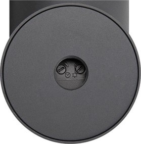LA 1004679 OVALISK WL Sensor venkovní LED nástěnné přisazené svítidlo antracit CCT switch 3000/4000 K - BIG WHITE (SLV)