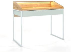 Moderní psací stůl Dancan FINKA s osvětlením / deska z horského jasanu, pastelově zelená zásuvka, šedý rám