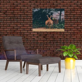 Skleněný obraz dvou žiraf (70x50 cm)