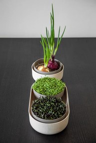 Velká farma - Klíčící miska Microgreens+Regrow, slonová kost s kávovou sedlinou