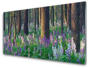 akrylový obraz Les Příroda 140x70 cm