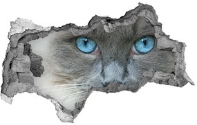 Wallmuralia Díra 3D fototapeta na stěnu Koška modré oči 95x73 cm
