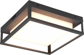 LED nástěnné venkovní svítidlo (výška 10 cm) Witham – Trio