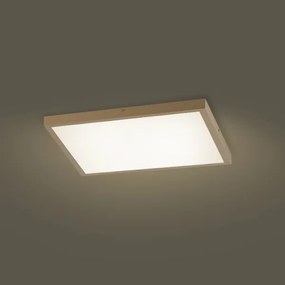 Brilagi -LED Stmív. koupelnové svítidlo FRAME SMART LED/50W/230V 60x60 IP44 + DO