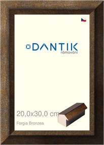 DANTIK rámeček 20x30 | Forgia Bronzea (Sklo Čiré)