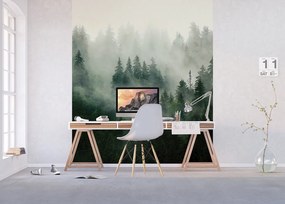 Vliesová fototapeta na zed' Lesní Mlha | 225 x 270 cm | DFT3P5903