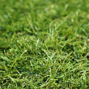 Europe Grass, Umělá tráva Profi Garden, na míru, šíře 4m, zelená