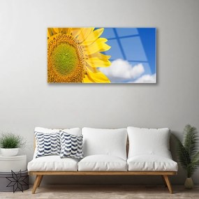 Obraz na skle Slunečnice Mraky 125x50 cm