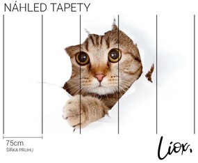 Liox Tapeta kočka vykukující z papíru