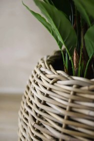 Přírodní koš na rostliny PALLA, ratan, průměr 55 cm, natur