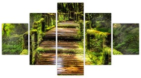 Obraz schodů v deštném pralese (125x70 cm)