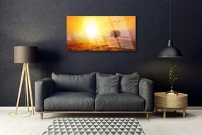 Obraz na skle Západ Slunce Louka Plátky 125x50 cm