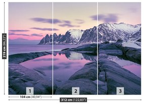 Fototapeta Zimní fjord 104x70