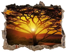 Wallmuralia Díra 3D ve zdi nálepka Západ slunce Afrika 95x64 cm