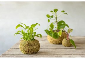 Květináč ø 14,5 cm Kokedama – Esschert Design