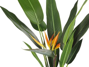 Umělá rostilina v květináči 115 cm STRELITZIA TREE Beliani