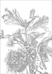 Tapeta Engraved Flowers